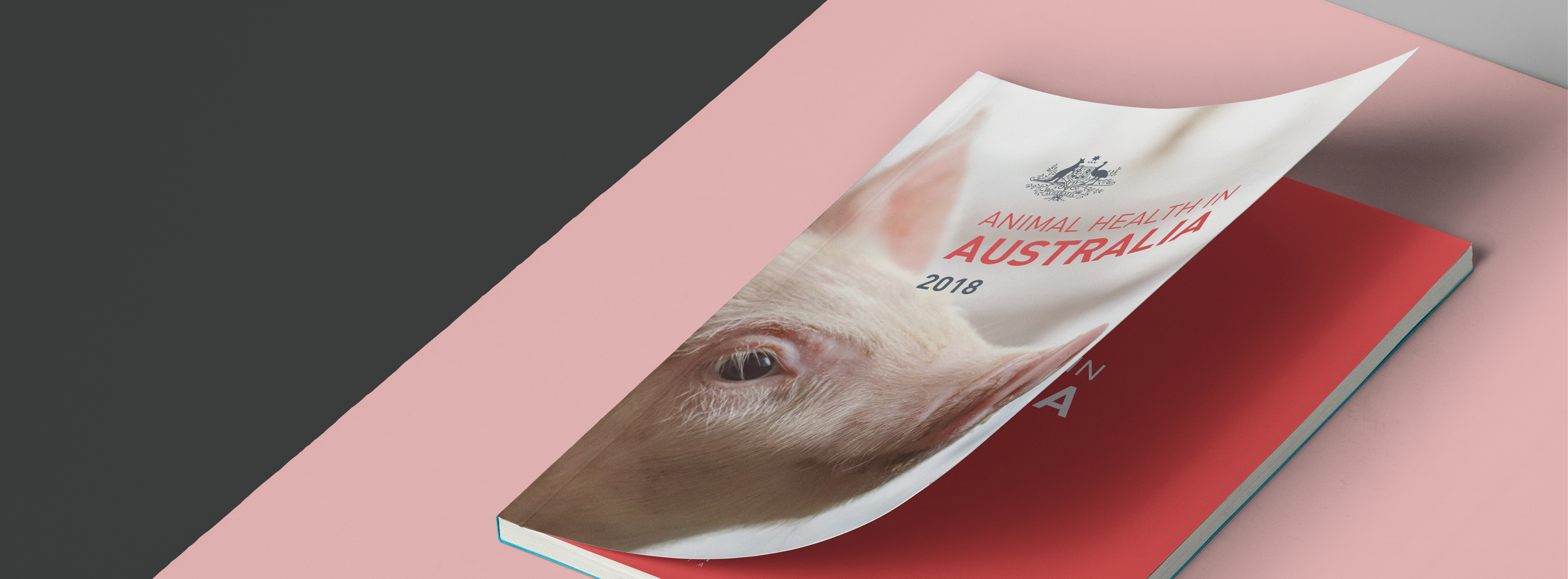 Animal Health Australia